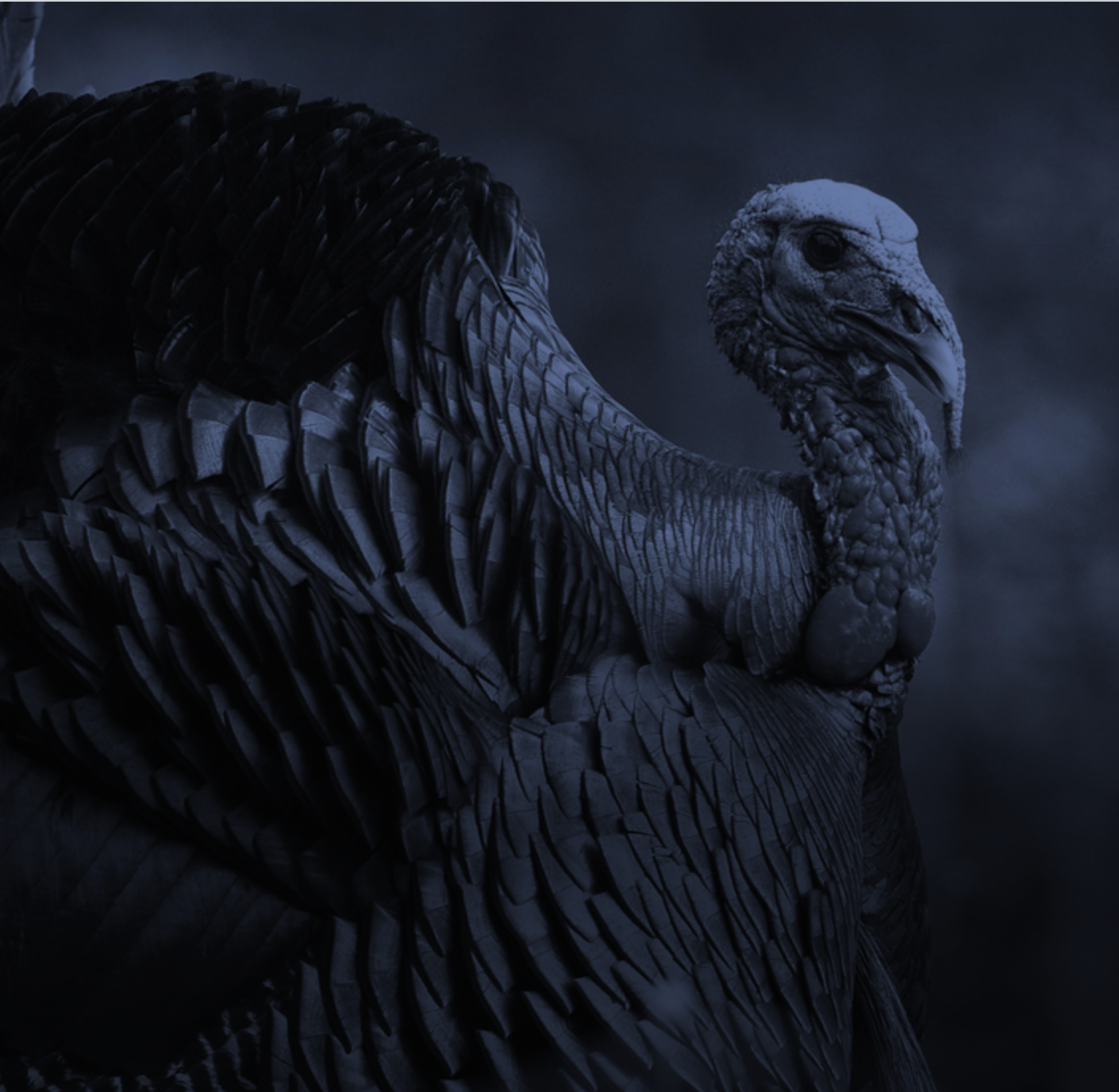 Washington State Chapter of the NWTF - The National Wild Turkey Federation