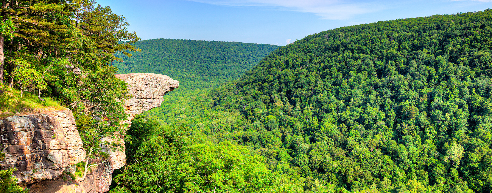 Arkansas State Chapter - The National Wild Turkey Federation