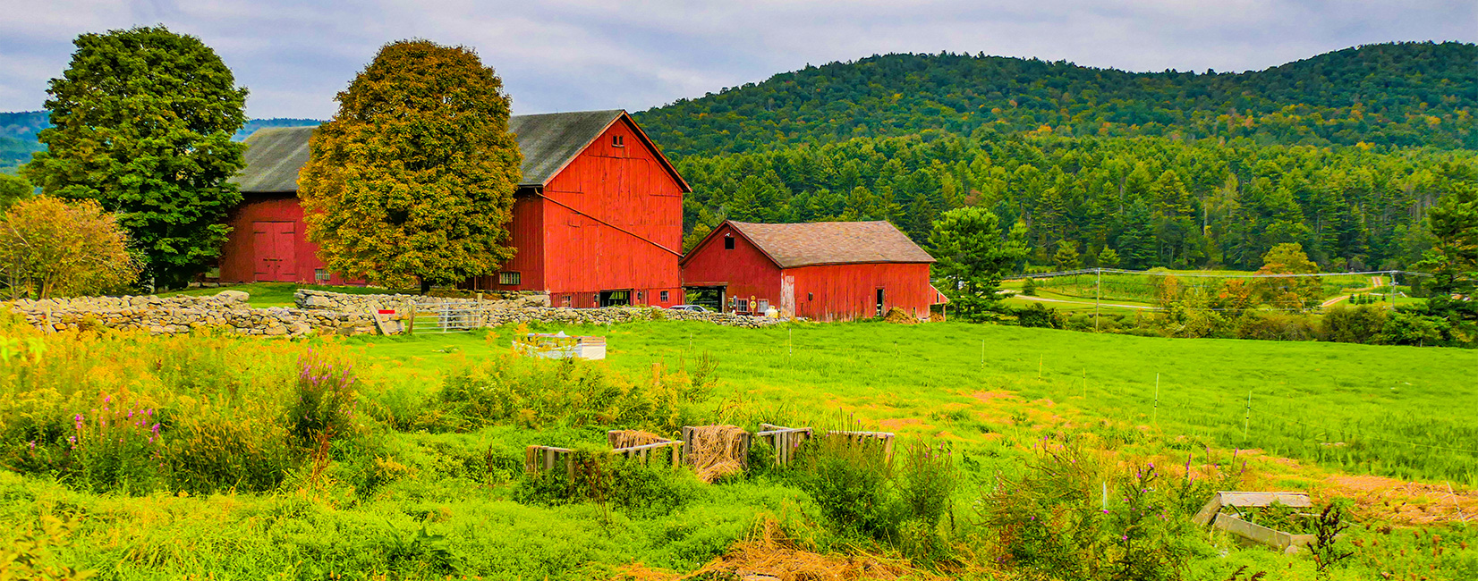 Connecticut State,CT - The National Wild Turkey Federation