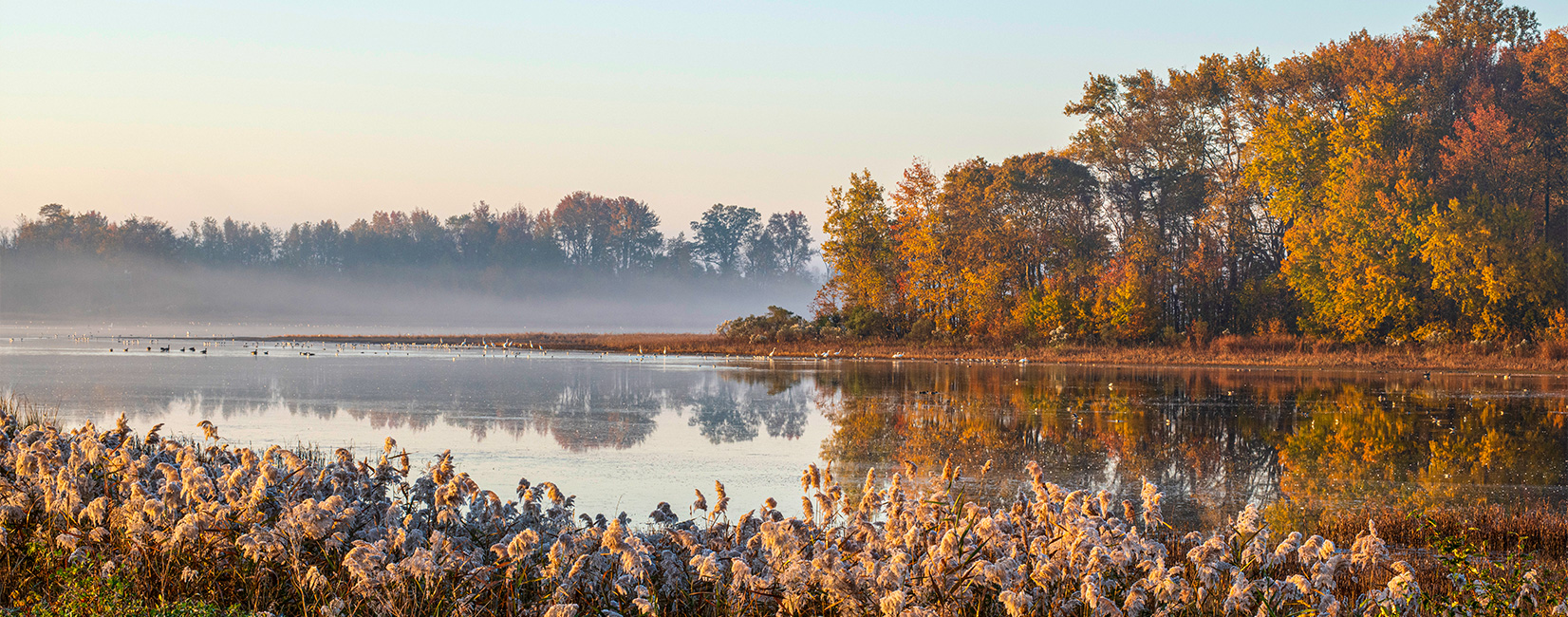 Delaware State Chapter - The National Wild Turkey Federation