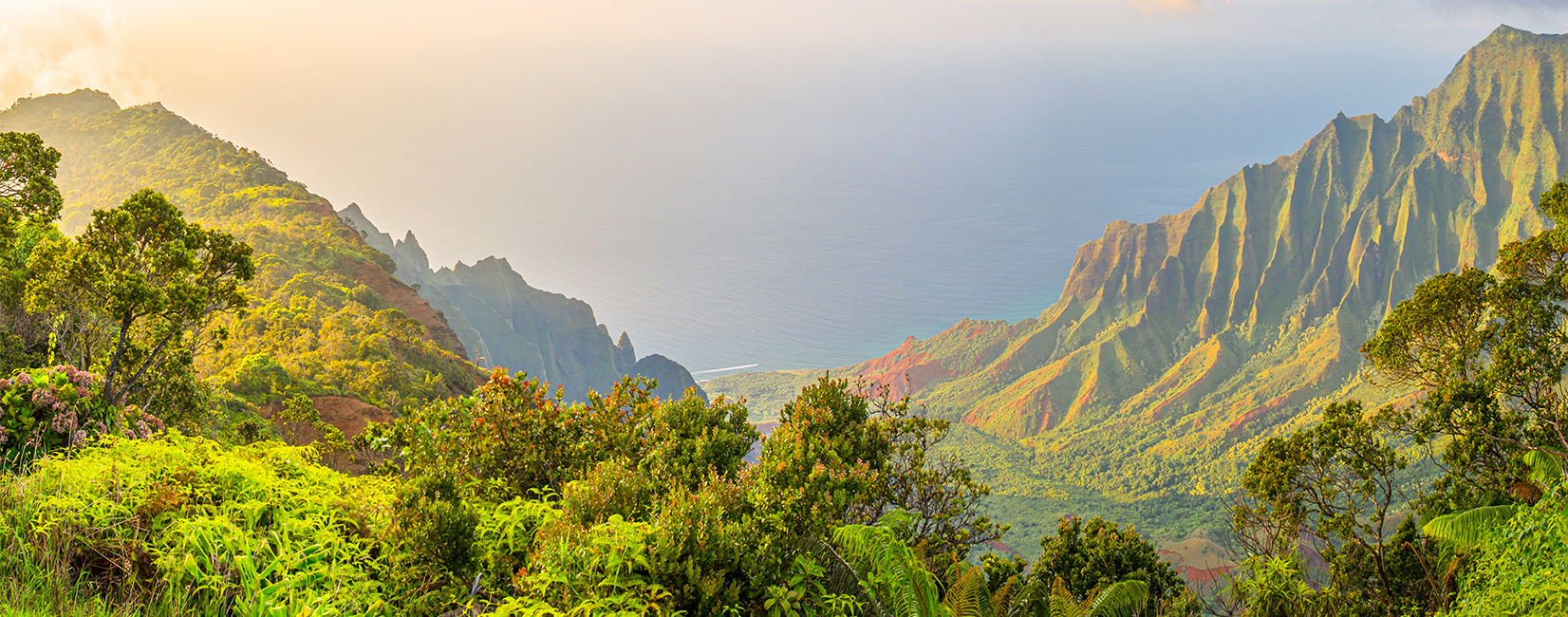 Hawaii State Chapter,HI - The National Wild Turkey Federation