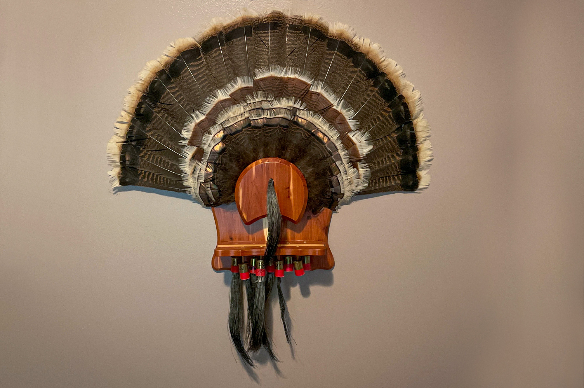 Create the Perfect Fan Mount - The National Wild Turkey Federation