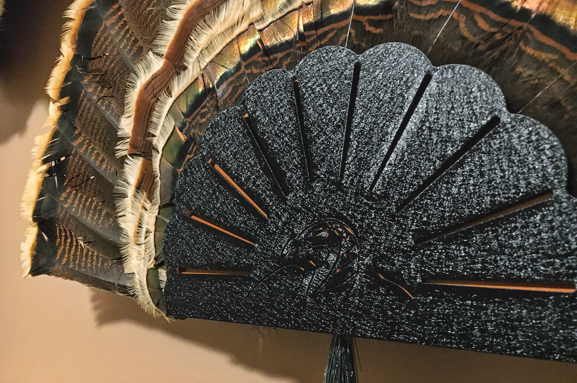 Turkey Tail Mounting Kits