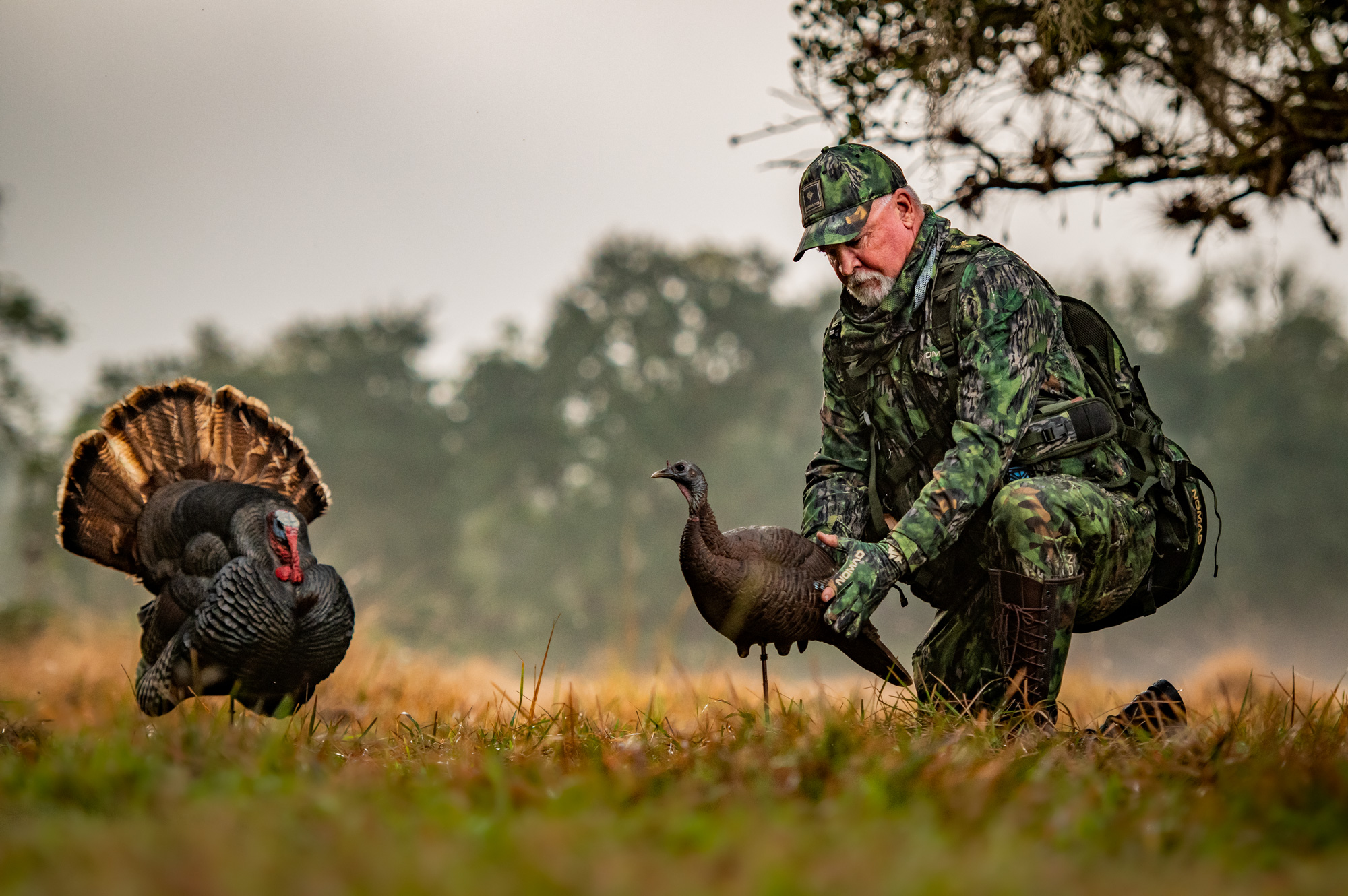 Spring Decoy Strategies - The National Wild Turkey Federation