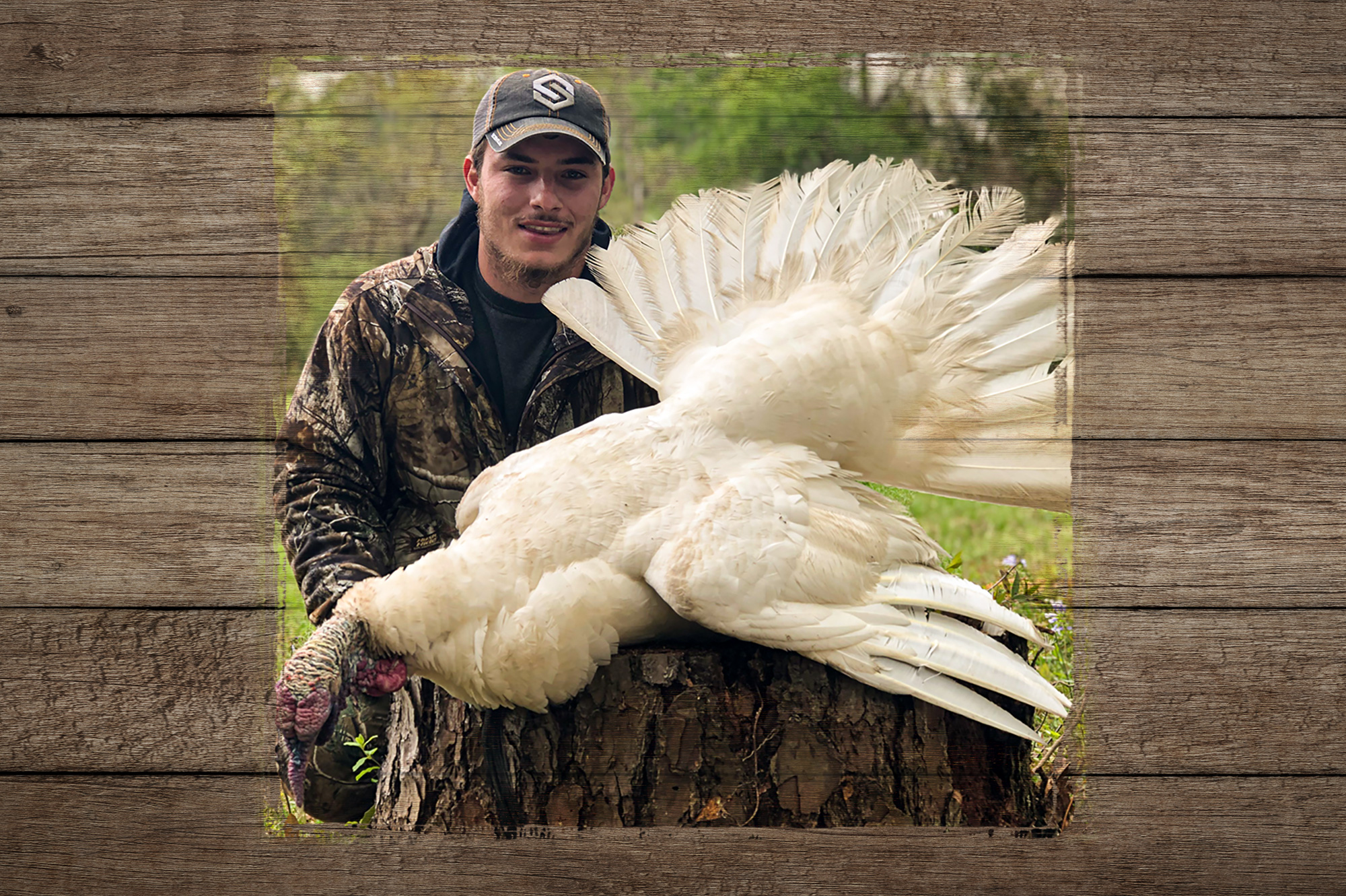 Leucistic Eastern wild turkey - The National Wild Turkey Federation