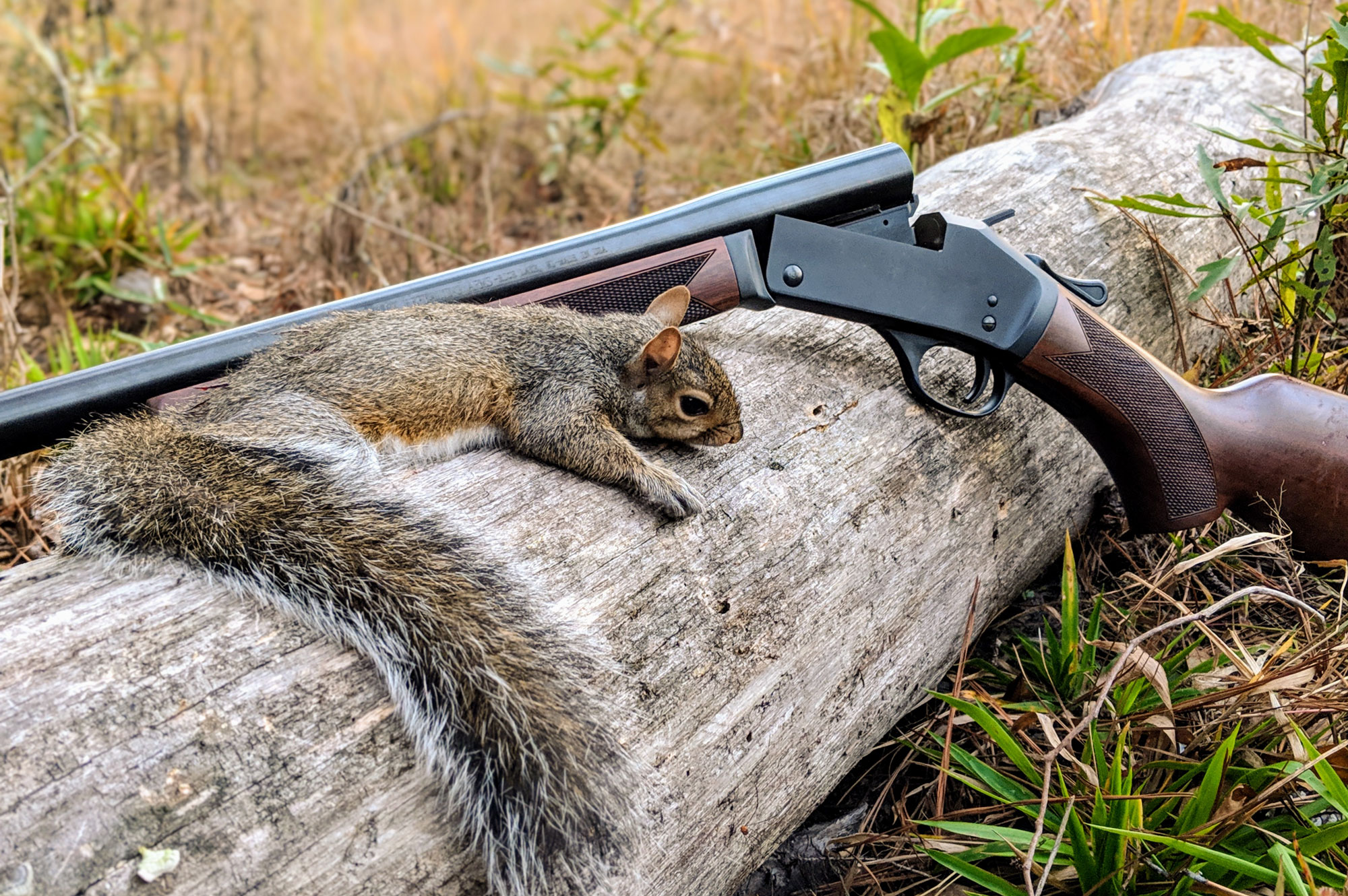Henry Single-Shot Shotgun: Nostalgia meets function - The National Wild Turkey Federation