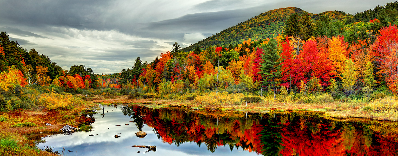 New Hampshire State,NH - The National Wild Turkey Federation