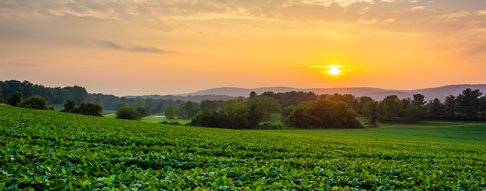 Pennsylvania State Chapter - The National Wild Turkey Federation