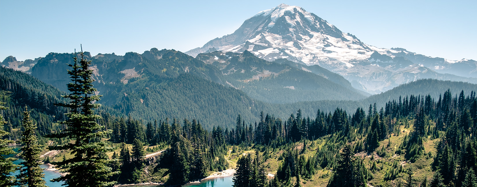 Washington State Chapter - The National Wild Turkey Federation