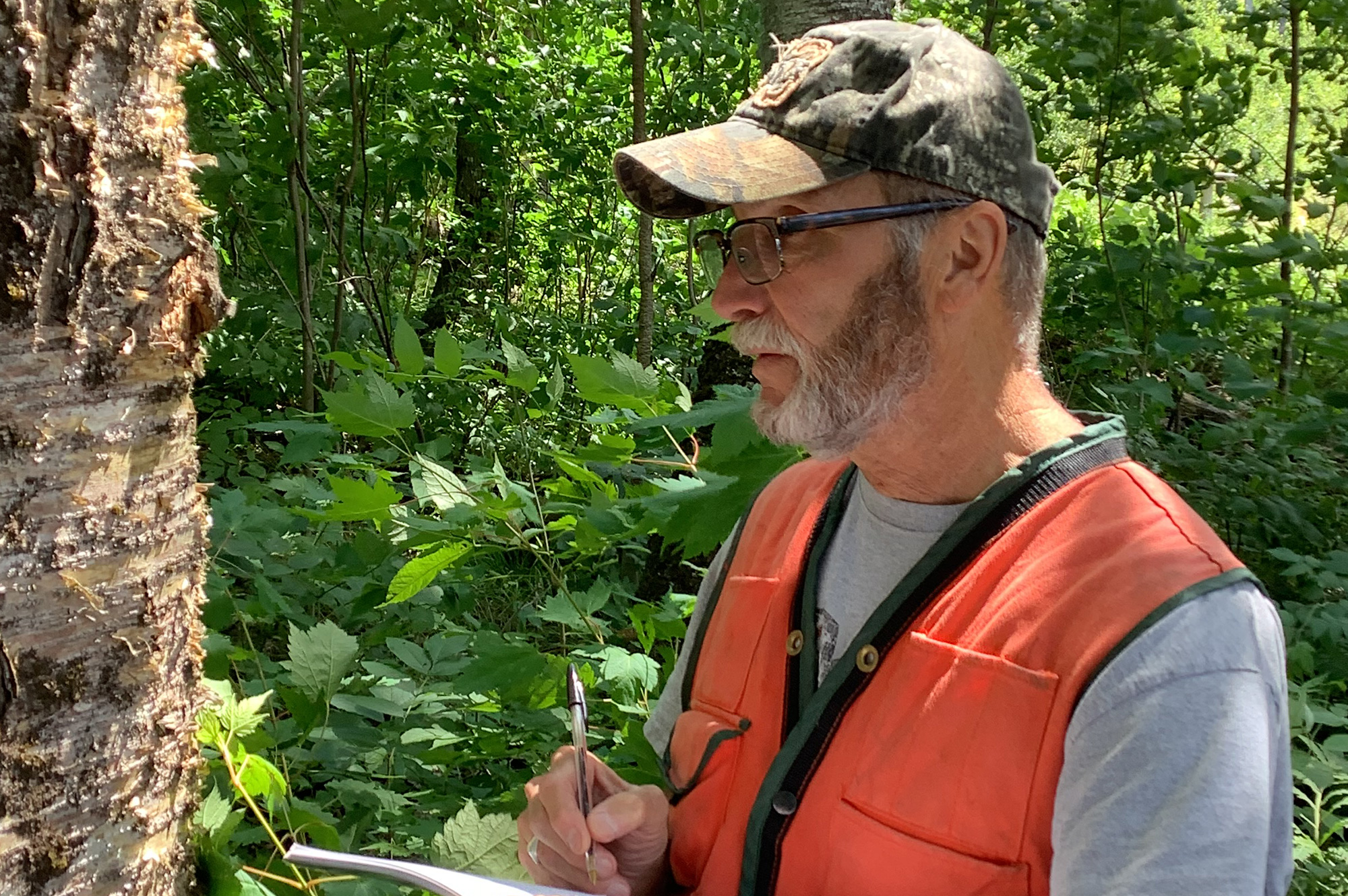 Small Scale Timber Harvesting: Part 1 - The National Wild Turkey Federation