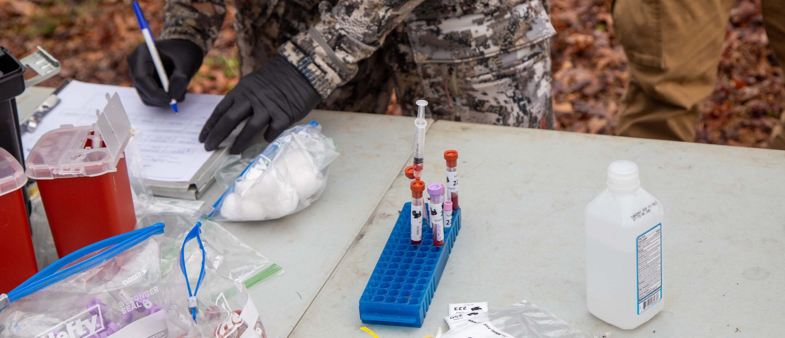 NWTF Requests Proposals for Wild Turkey Research - The National Wild ...