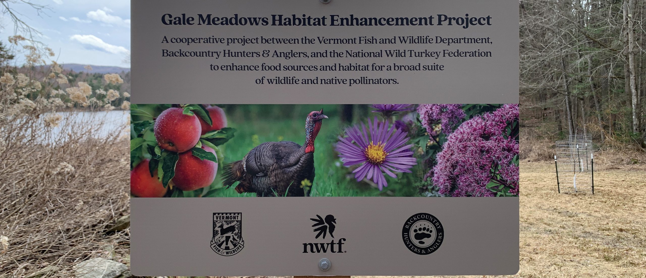 Connecticut State,CT - The National Wild Turkey Federation