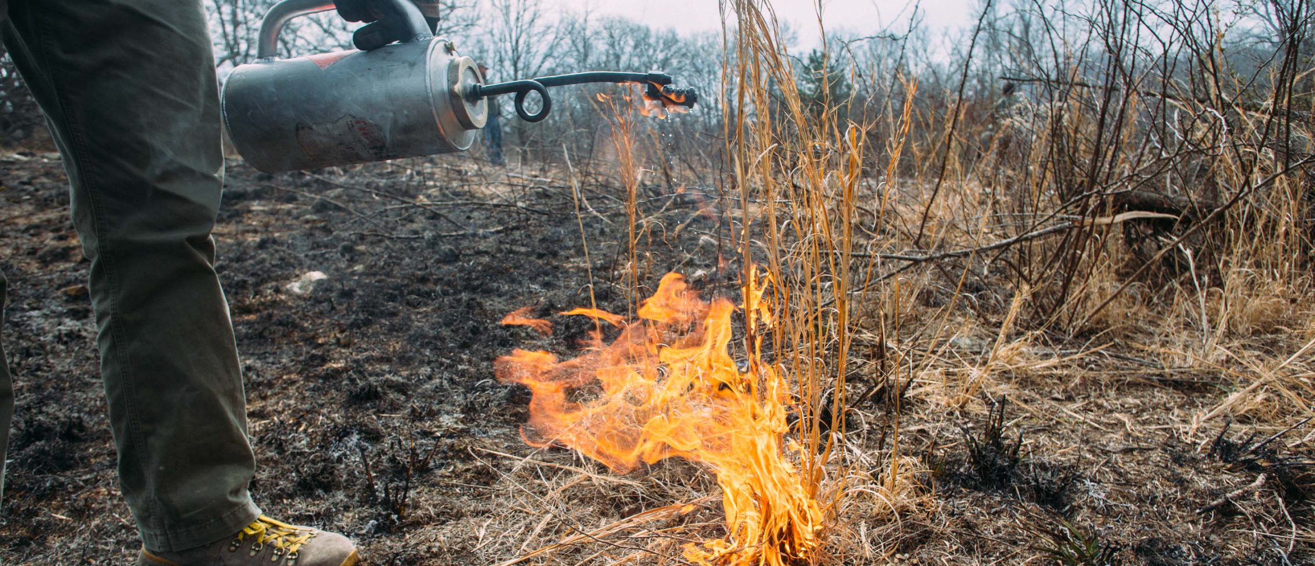 A Time to Burn - The National Wild Turkey Federation