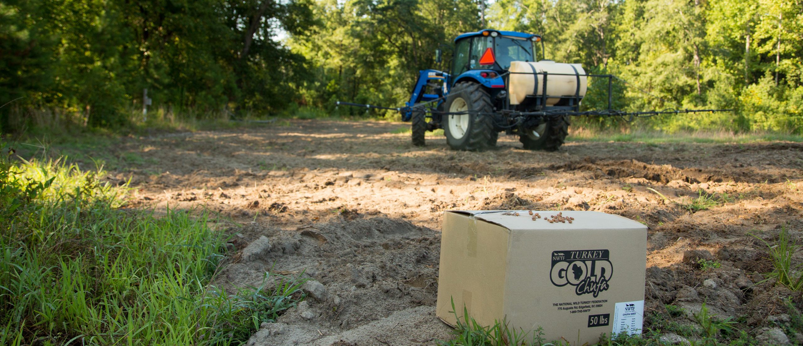 Establishing Turkey Gold - The National Wild Turkey Federation