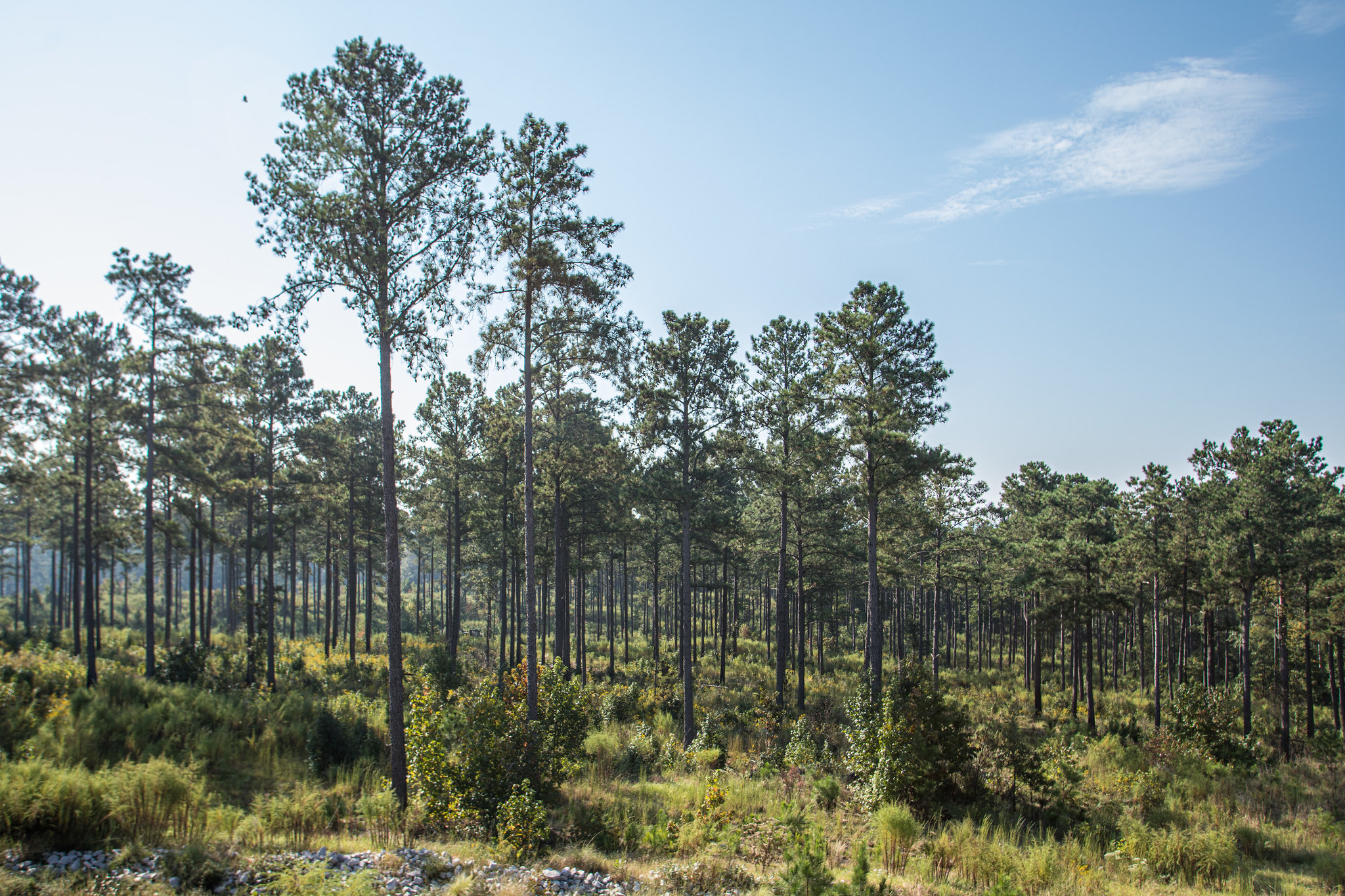 Humphries Testifies Before House Subcommittee on 2023 Farm Bill ...