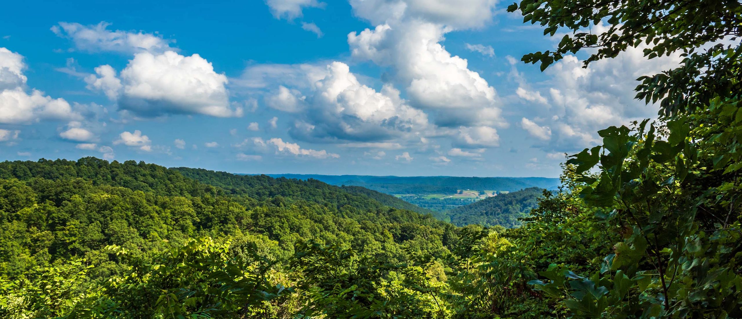 NWTF Helps Expand Shawnee State Forest by 1,252 Acres - The National ...