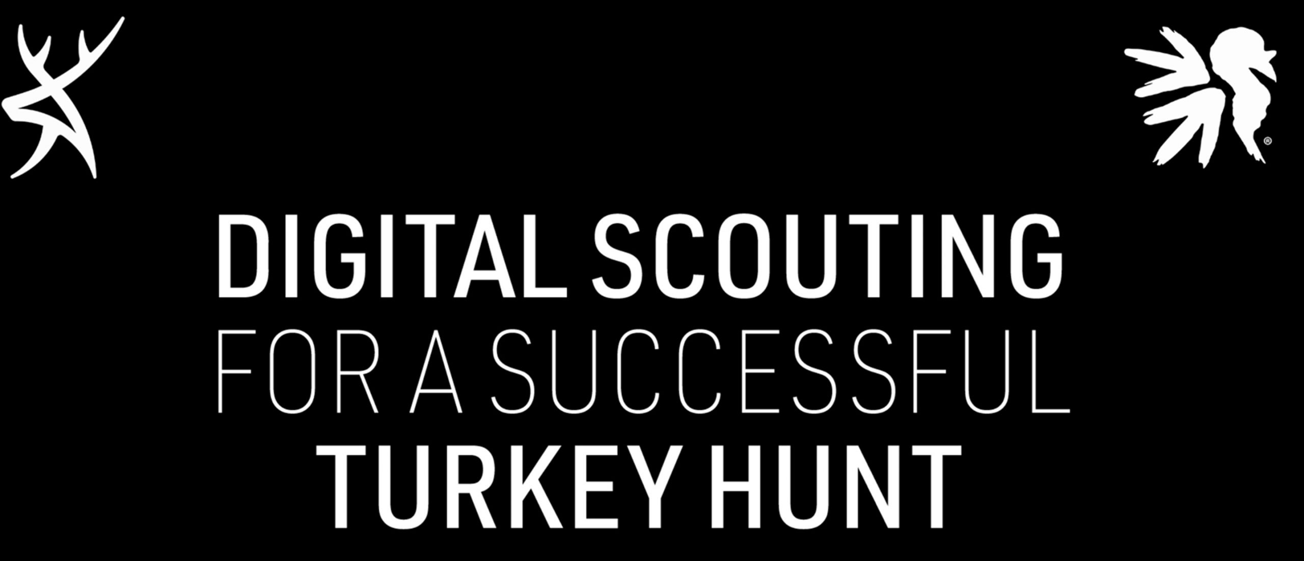 Digital Scouting for a Successful Turkey Hunt - The National Wild ...