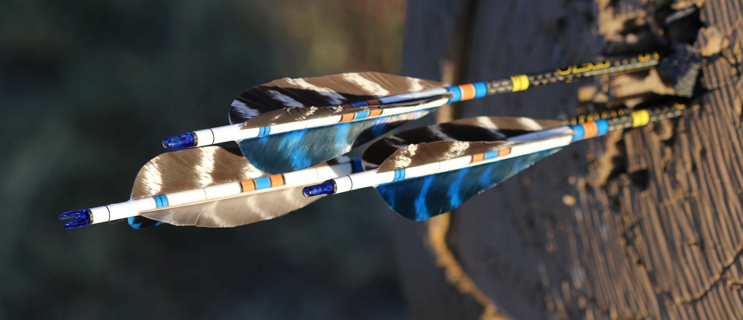 Wild Fletching - The National Wild Turkey Federation