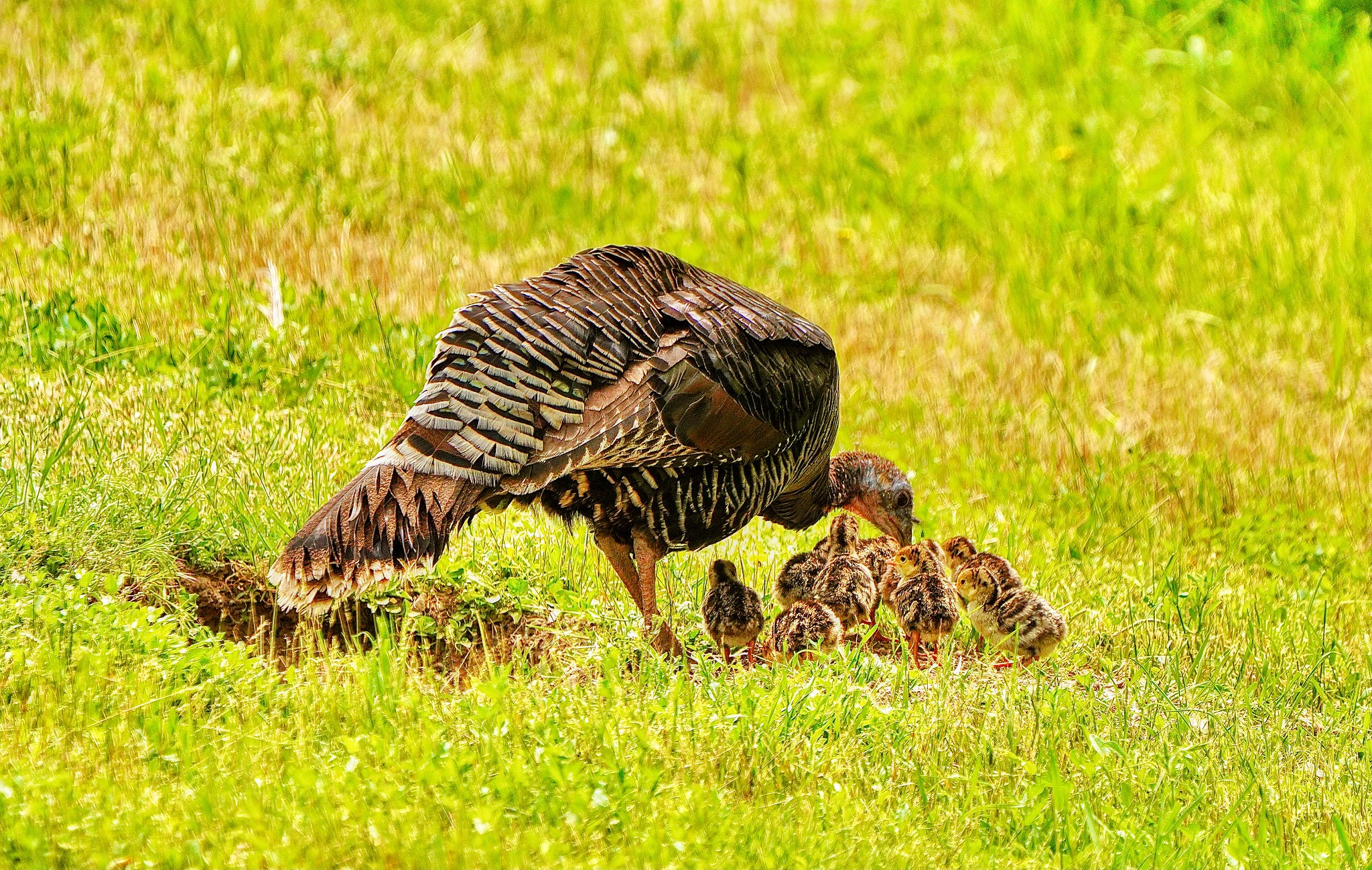 Introducing a New Monitoring Platform for Washington - The National ...