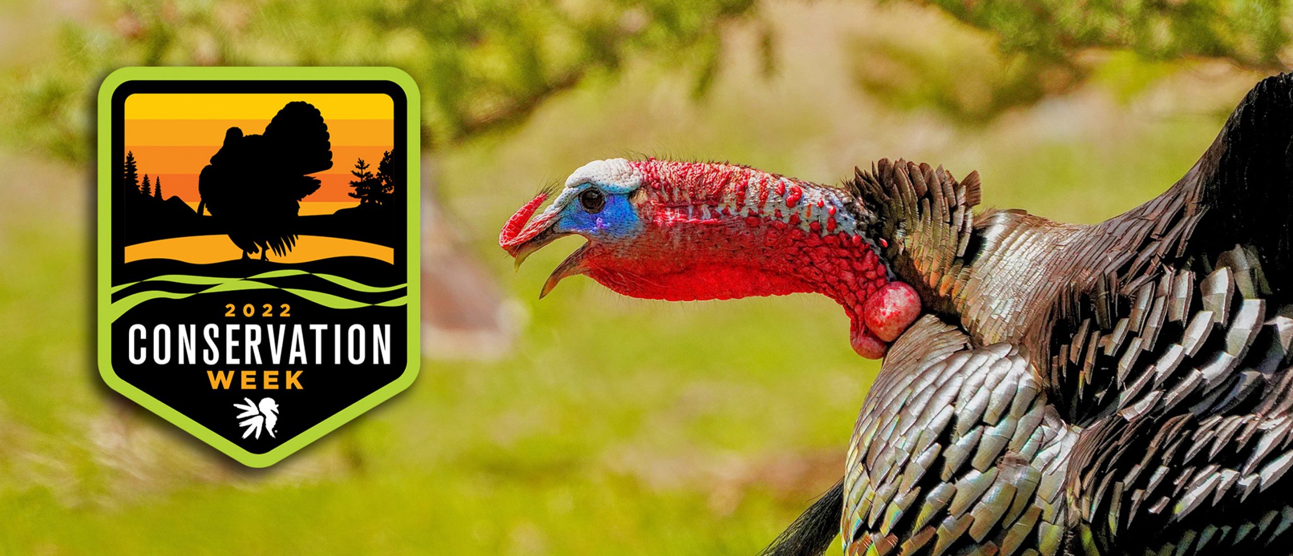 NWTF Announces Second Annual Conservation Week - The National Wild ...