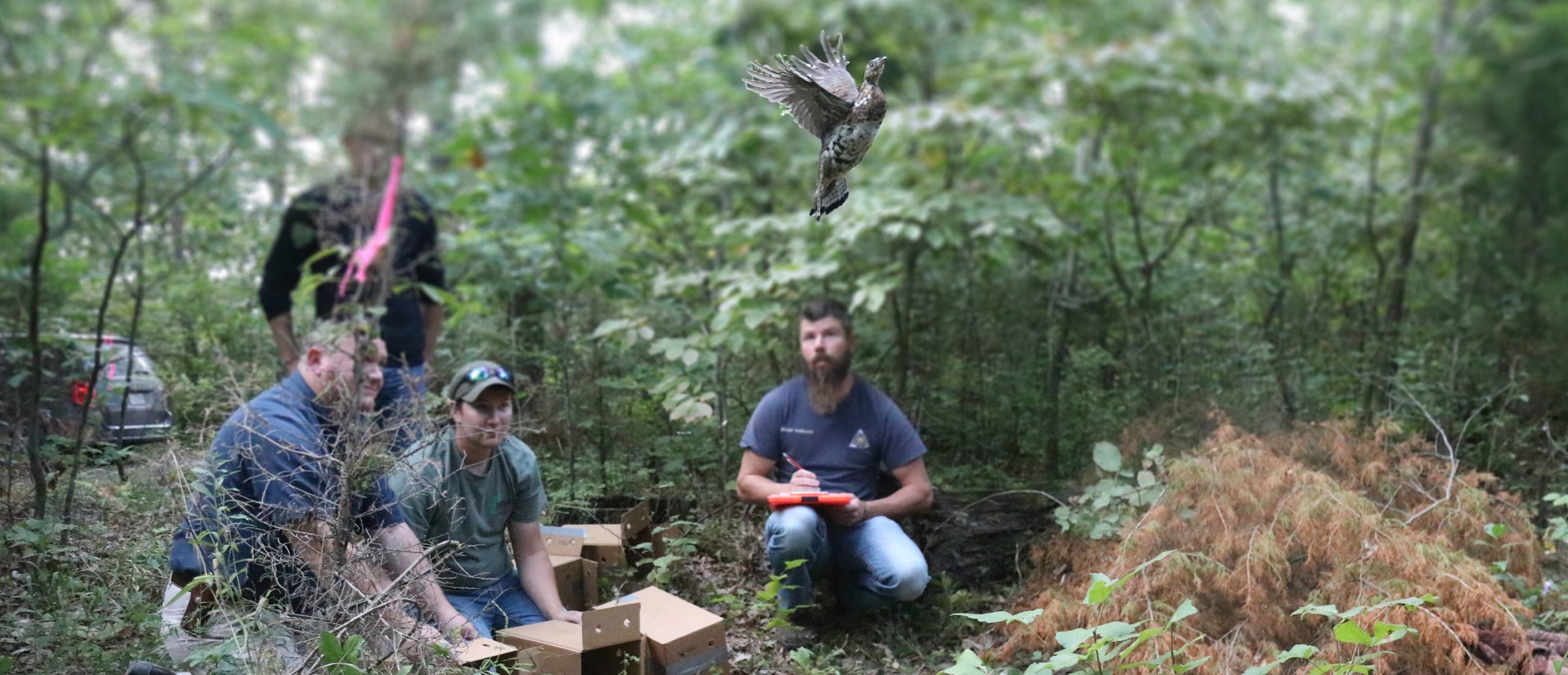 Conservation in the Missouri River Hills Region - The National Wild ...