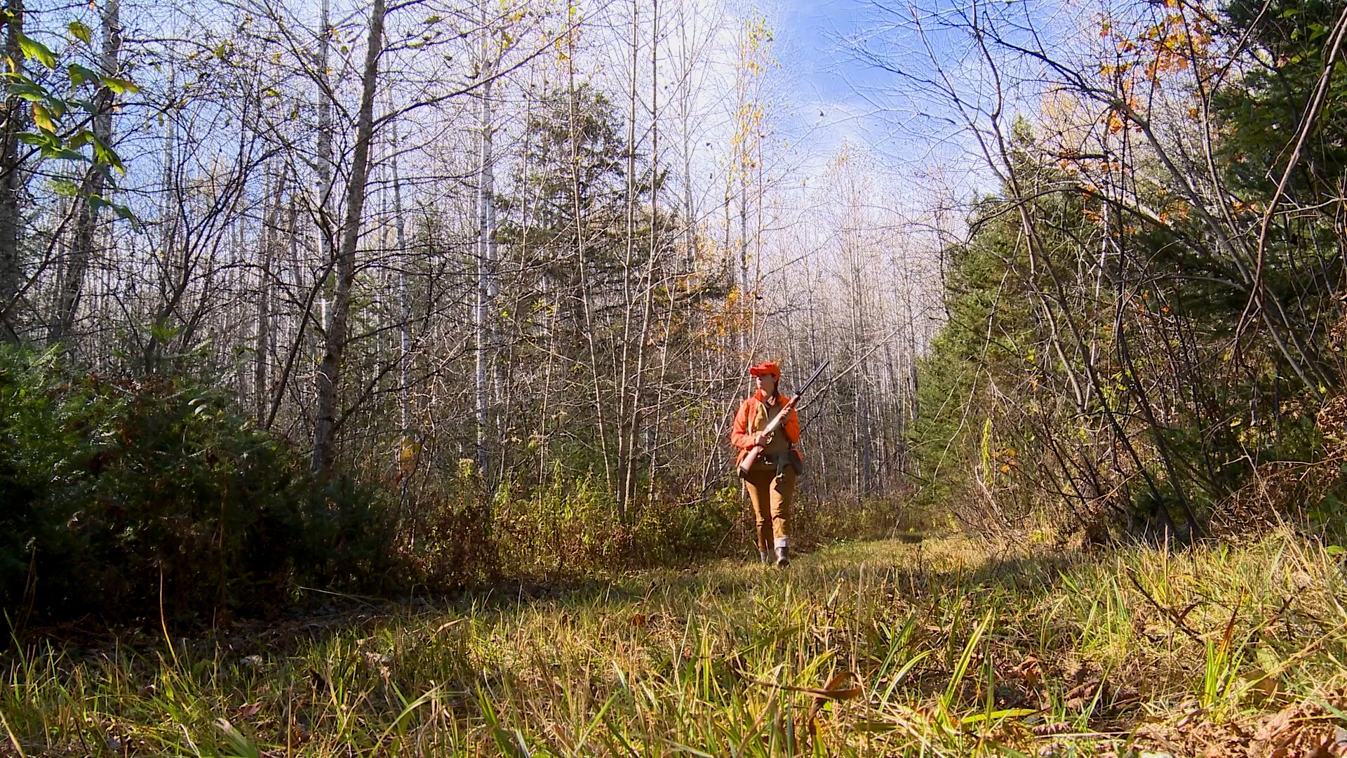 Learning to Hunt Grouse and Woodcock - The National Wild Turkey Federation
