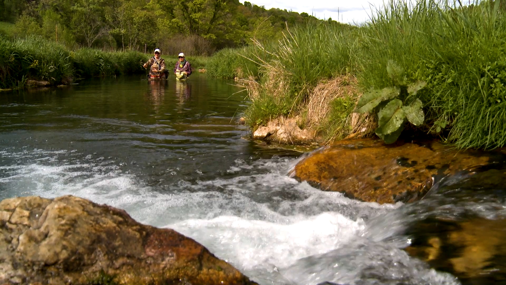 Learning to Fish Stream Trout - The National Wild Turkey Federation