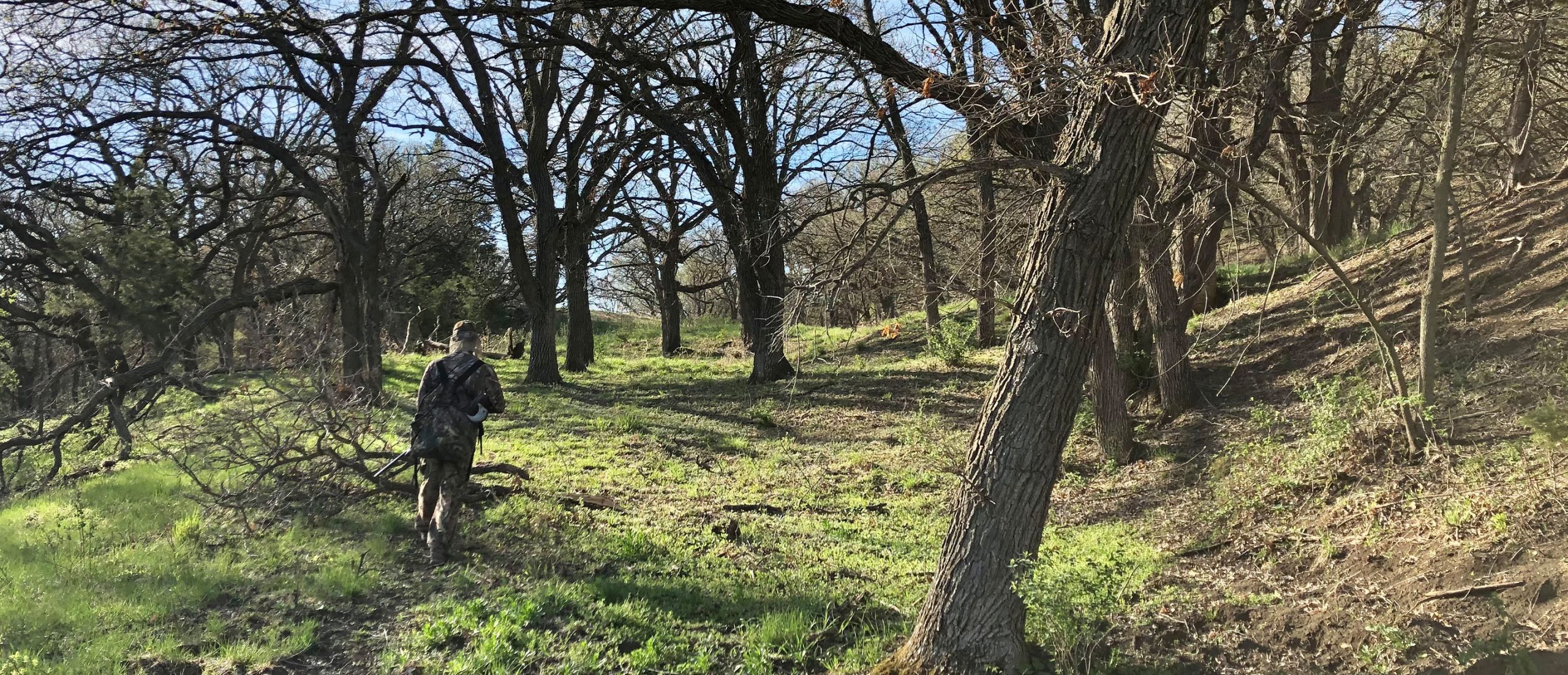 Flying Solo - The National Wild Turkey Federation