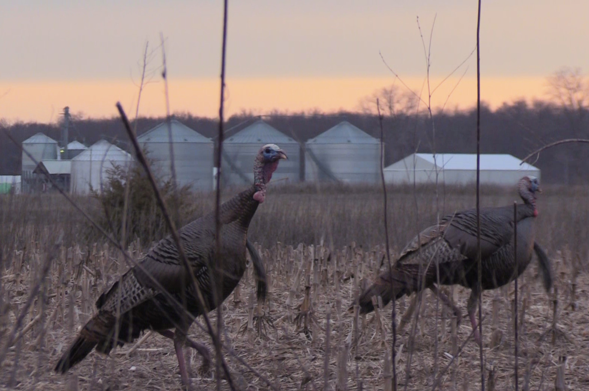 Looking Ahead to the 2023 Farm Bill - The National Wild Turkey Federation