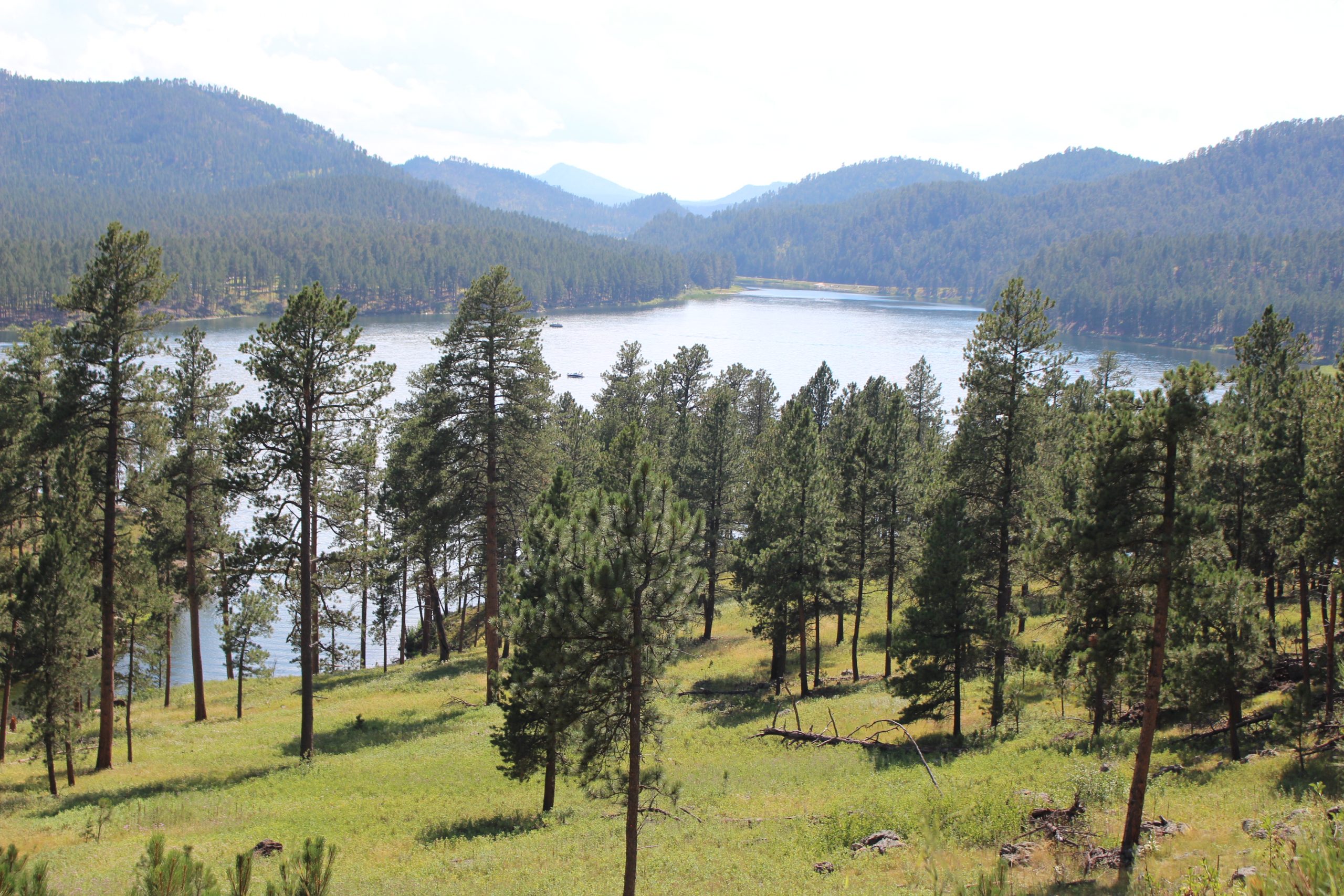 USDA Forest Service Signs $50 Million Agreement with the NWTF for ...