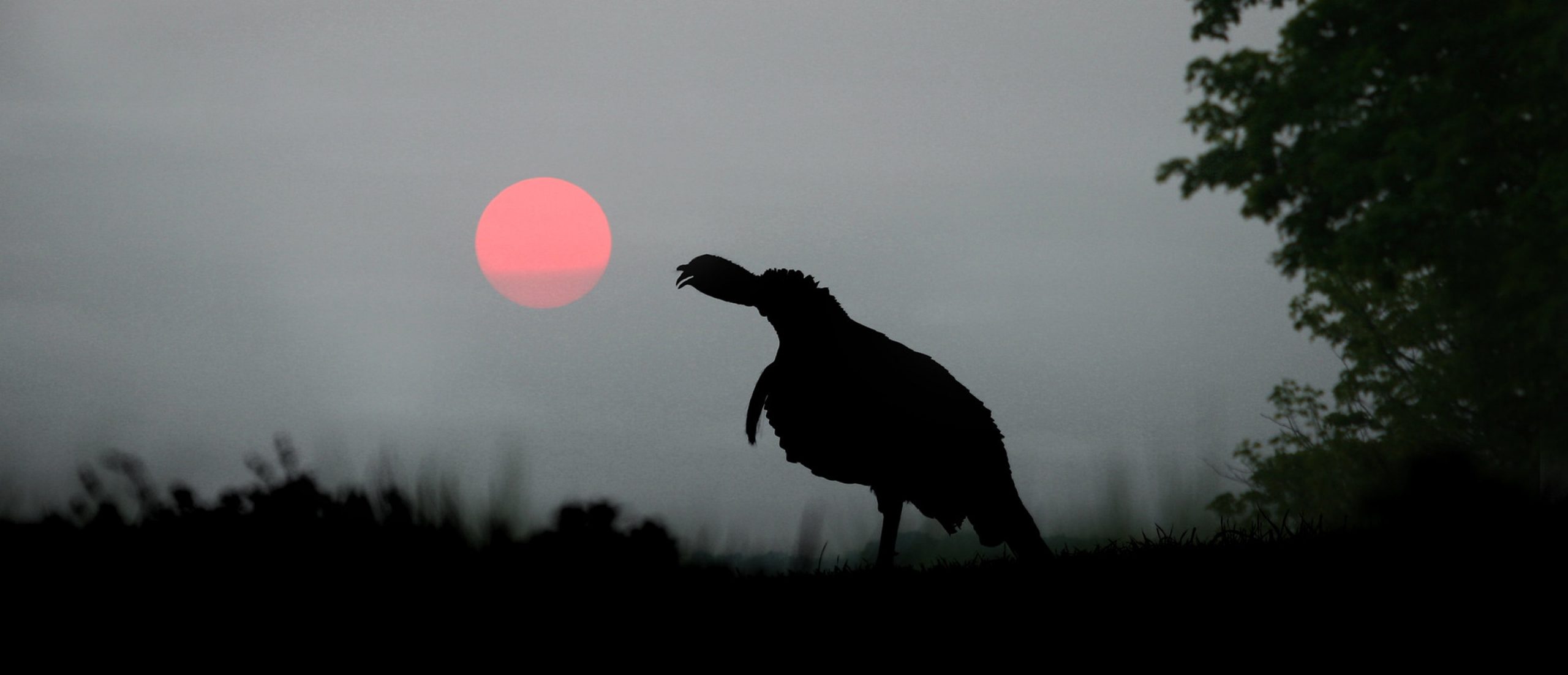 NWTF 2022 Spooky Stories - The National Wild Turkey Federation