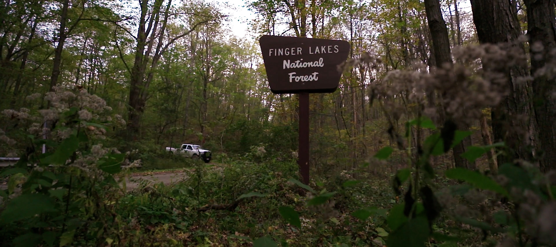 Beyond the Strut — New York - The National Wild Turkey Federation
