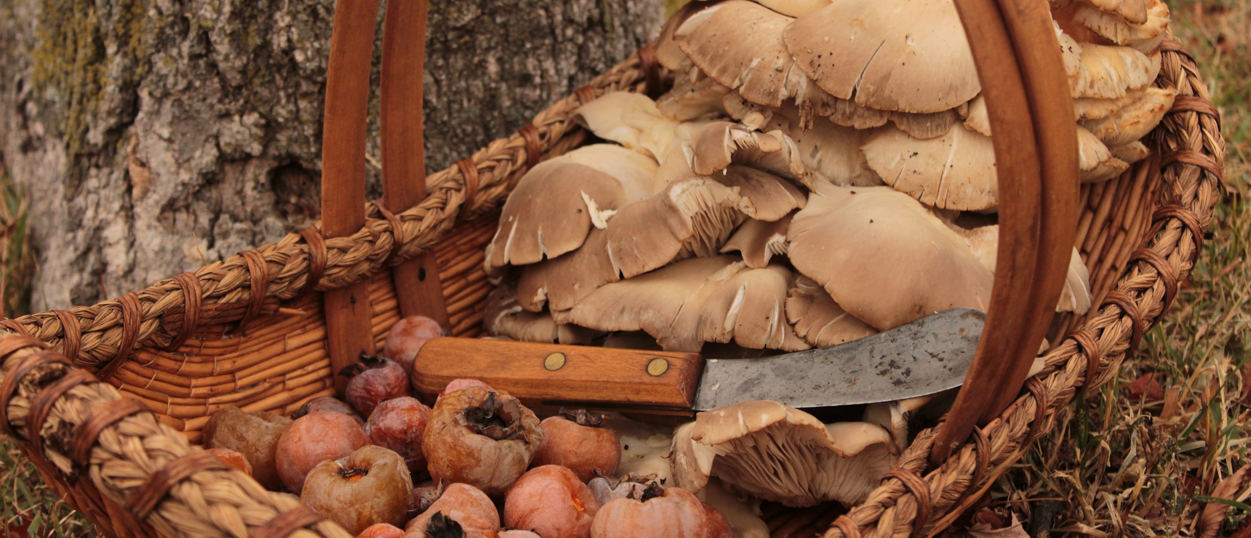 Wild Ideas to Inspire Your Thanksgiving Feast - The National Wild ...