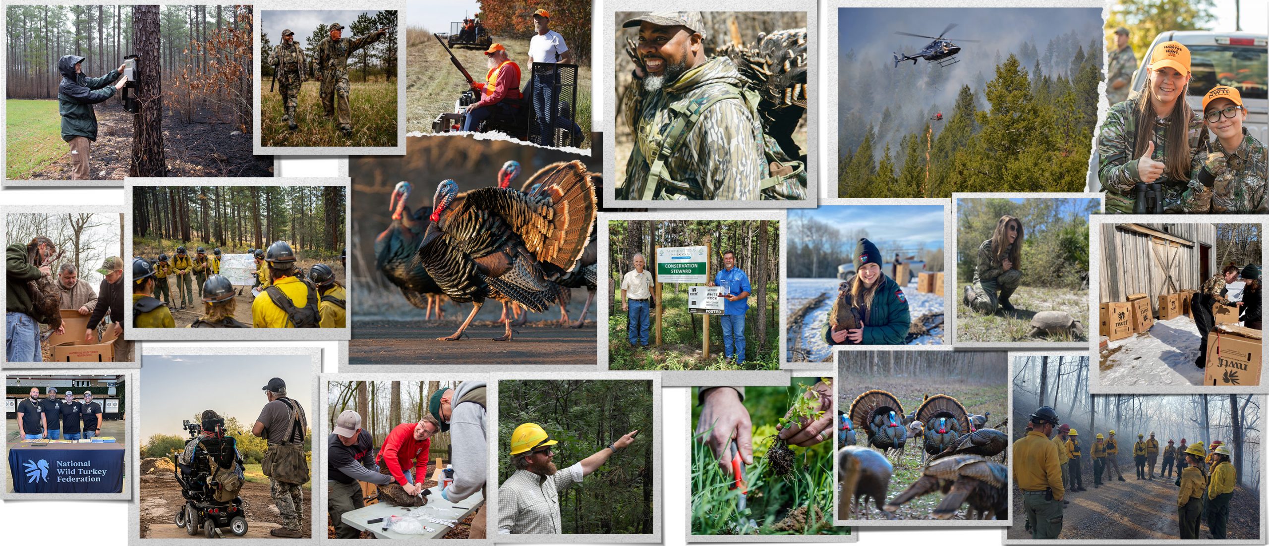 2022, 22 Million Acres and More: NWTF Year-End Conservation Wrap-Up ...
