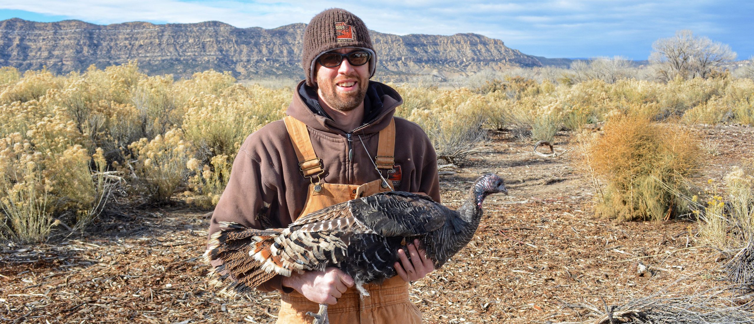 Unique Landscapes, Unique Solutions: Conserving Southern Utah’s Wild ...