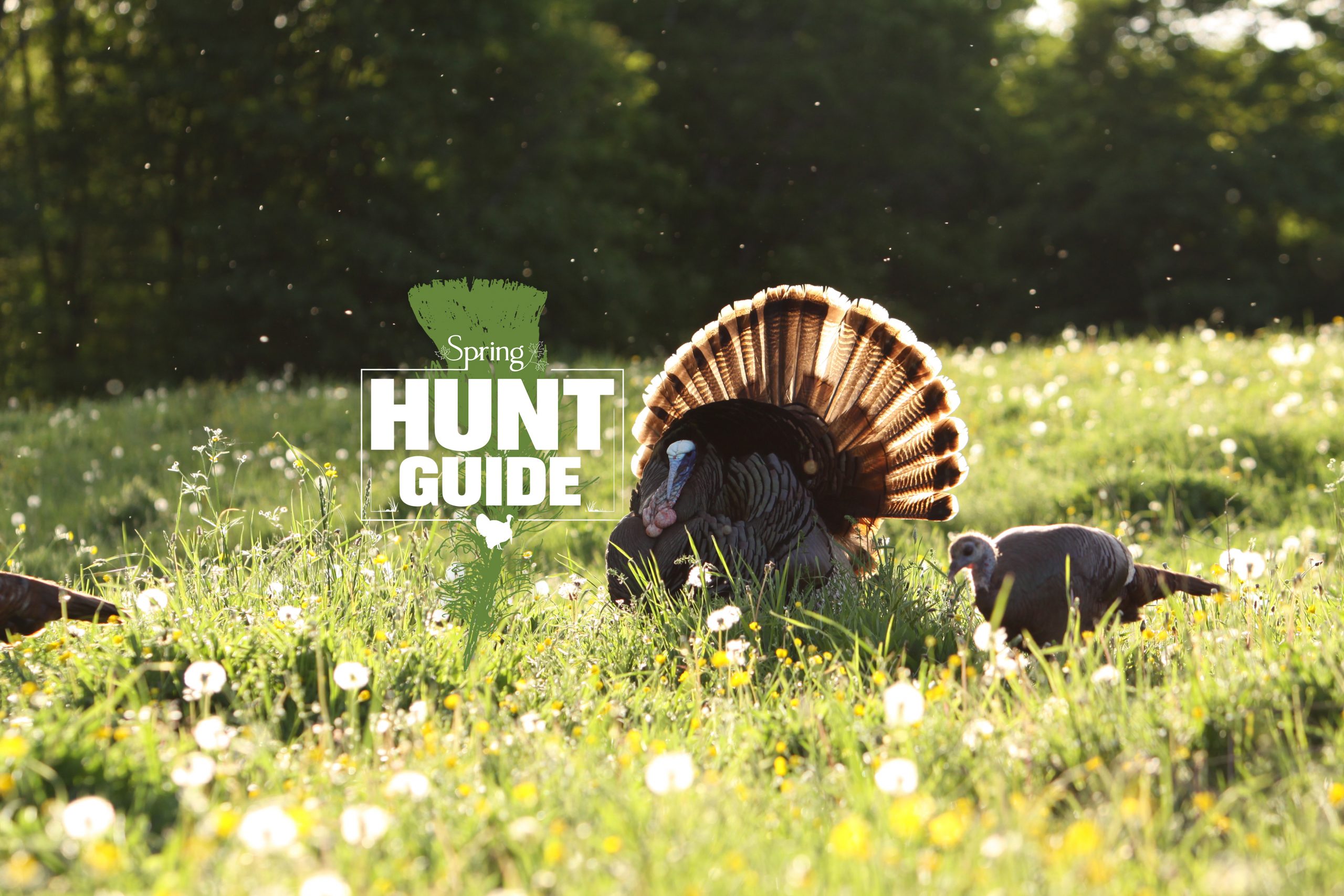 2023 Spring Hunt Guide - The National Wild Turkey Federation