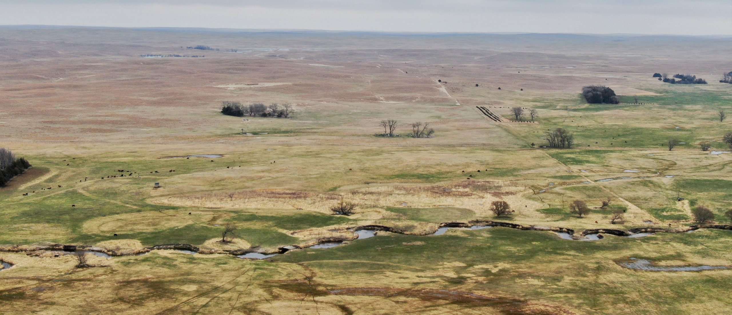 A Landscape as Unique as the Turkeys that Inhabit It - The National ...