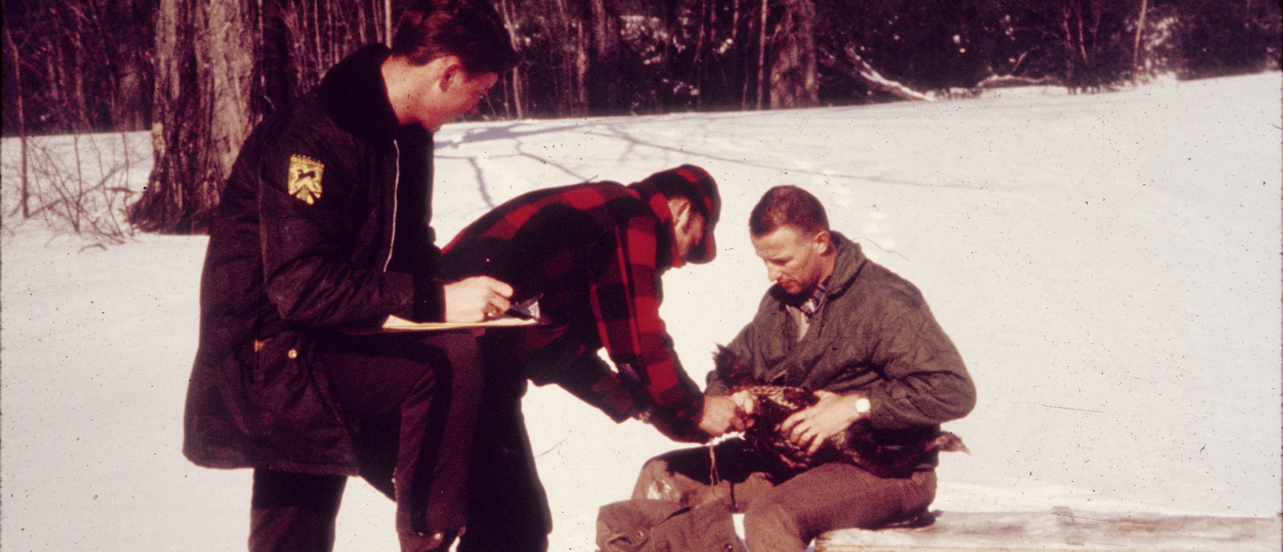 From Humble Beginnings - The National Wild Turkey Federation