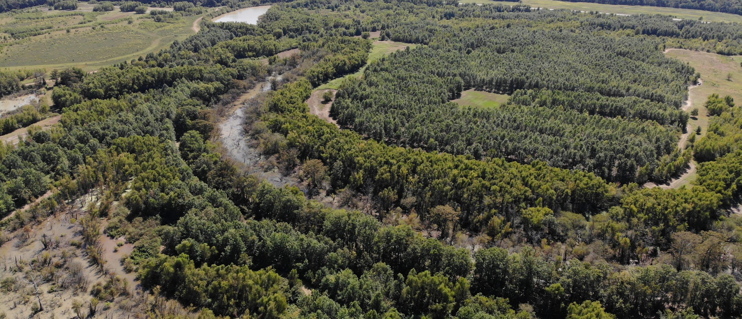 Benefiting Imperiled Wetlands through Multi-Partner Collaboration - The ...