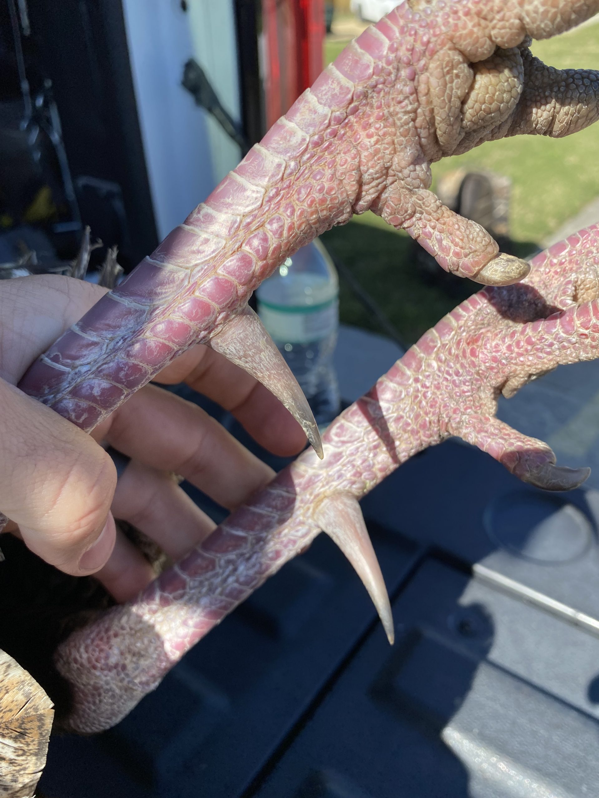 A Week to Remember - The National Wild Turkey Federation