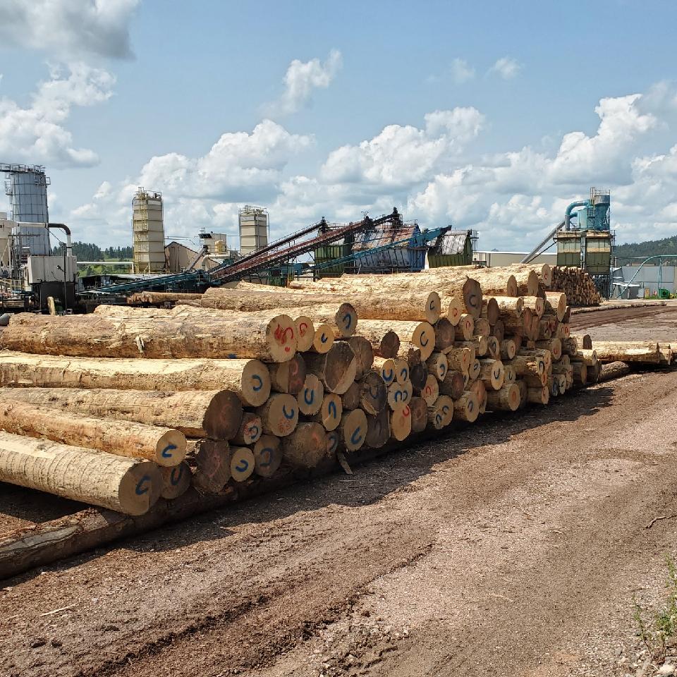 Logs for the Timber Transport Pilot Arrive in Wyoming - The National ...