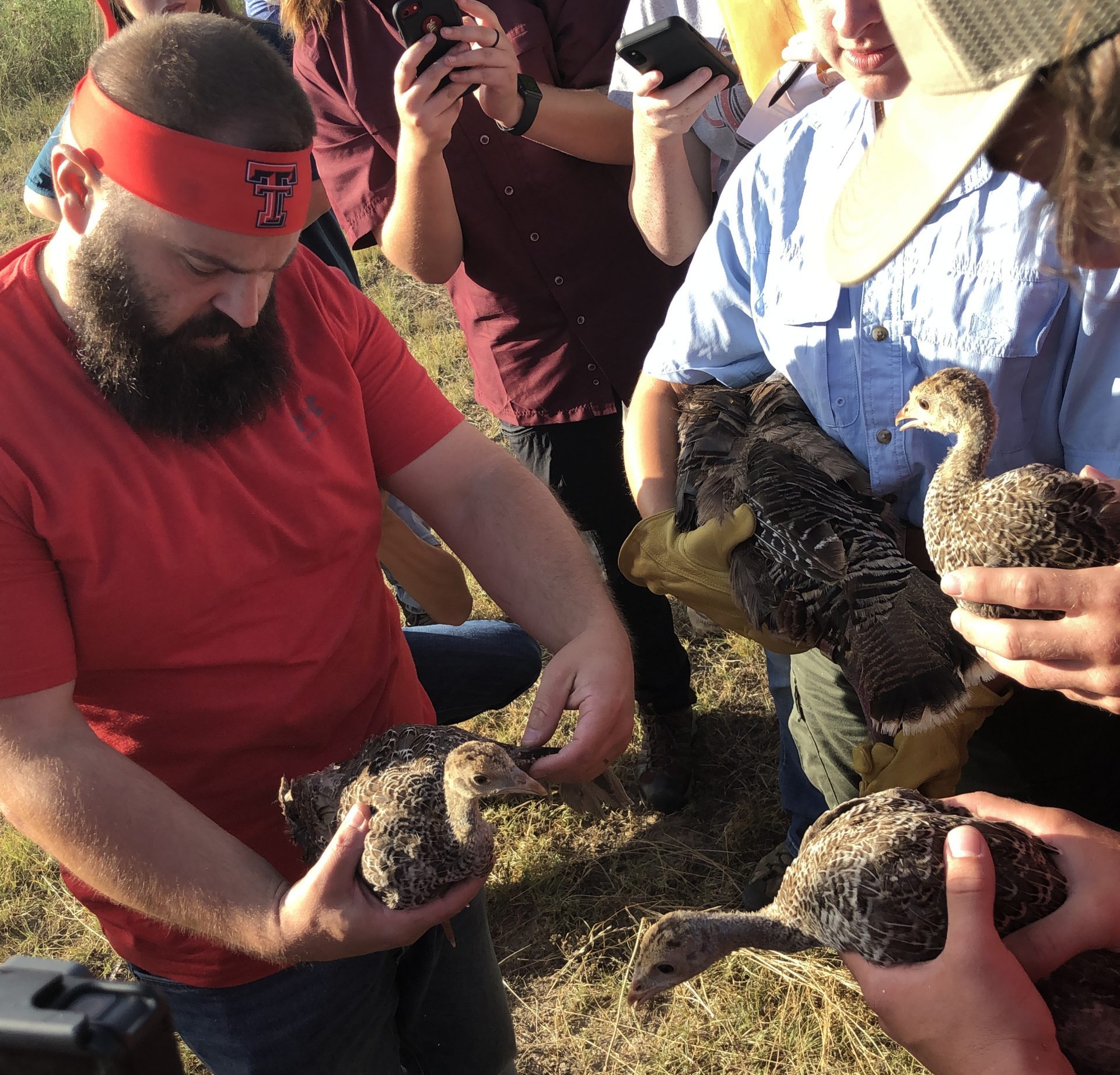 Research Investigates Disease and Parasite Impact on Rio Grande Wild ...