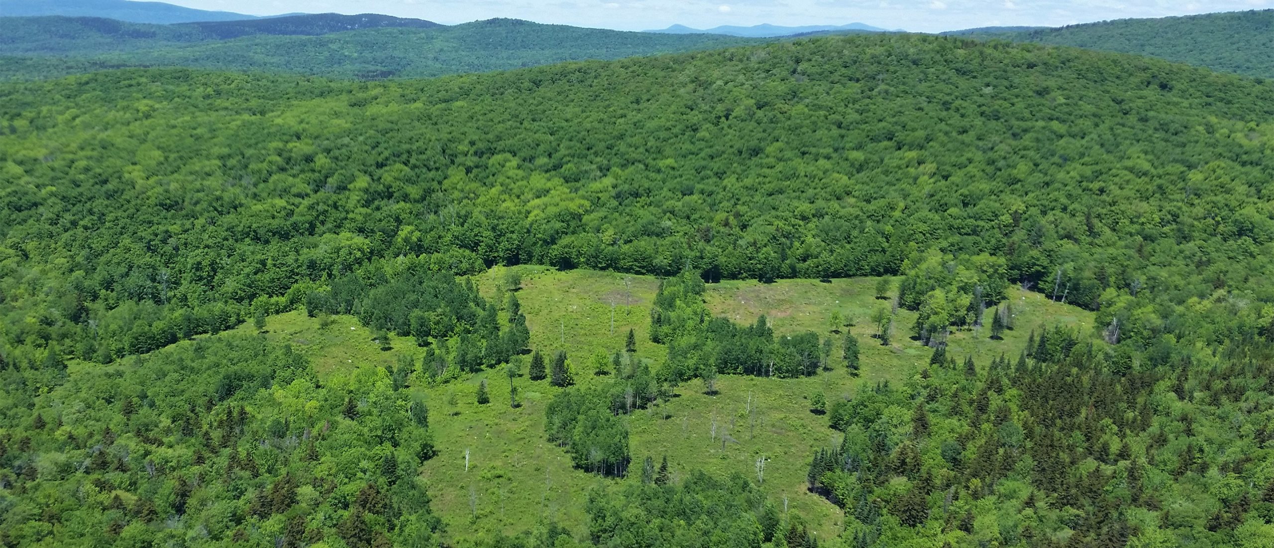 Continuing over Two Decades of Habitat Enhancements - The National Wild ...