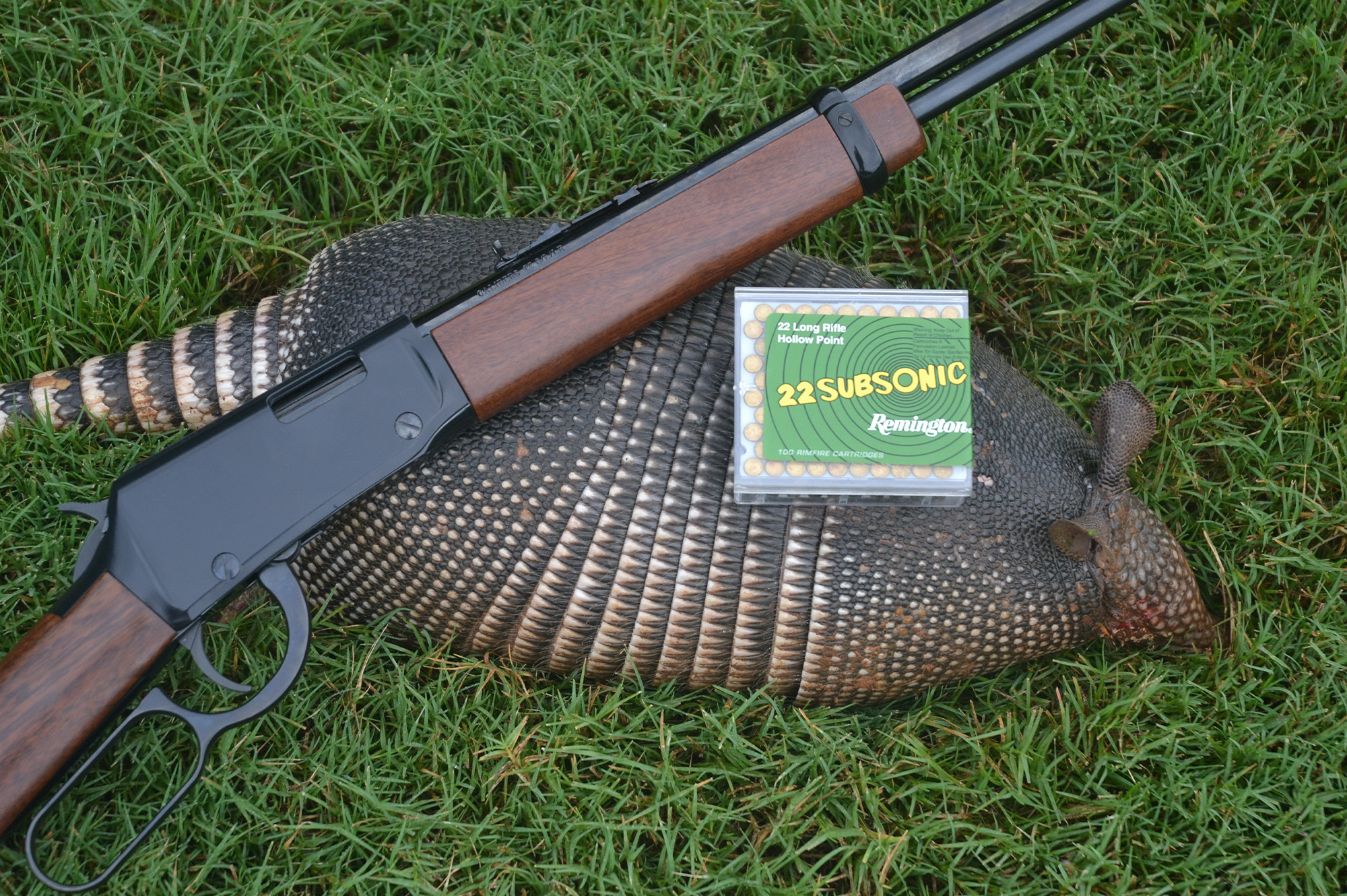 .22 Rimfire: Matching Loads To Game - The National Wild Turkey Federation