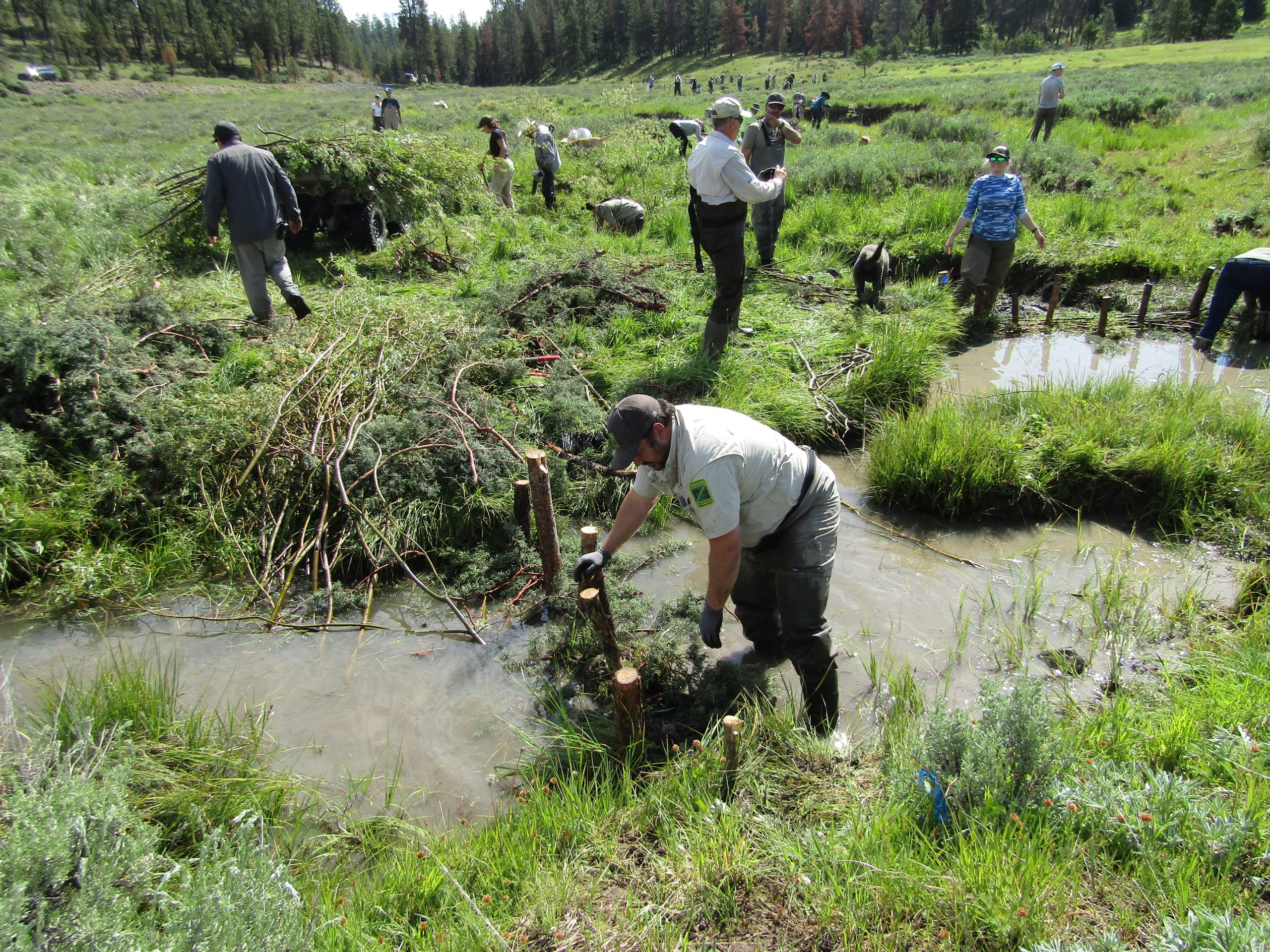Collaborative Conservation Restores Riparian Habitats in Oregon - The ...