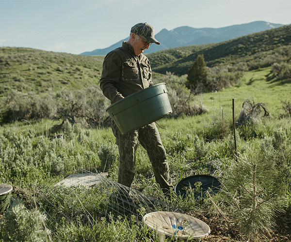 Grassroots Conservation at a Landscape Level - The National Wild Turkey Federation