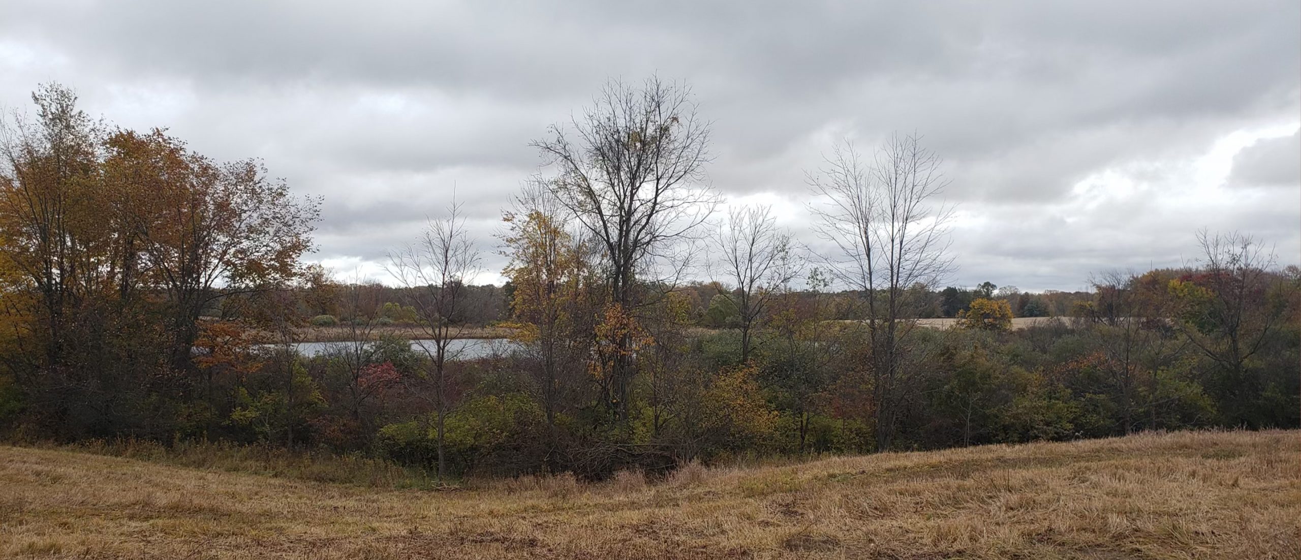 NWTF Indiana Helps Acquire Over 150 Acres of New Public Lands - The ...