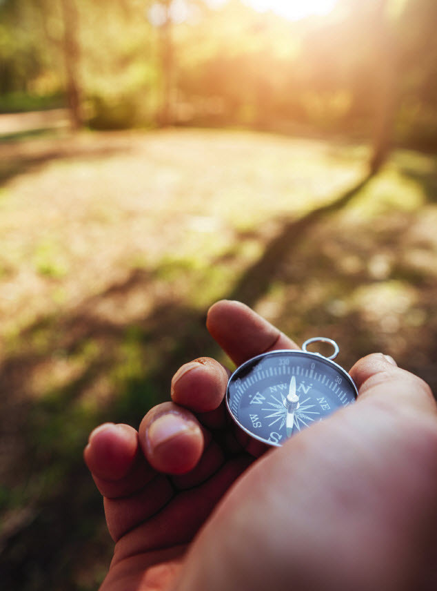 Finding A (Regional) Direction - The National Wild Turkey Federation