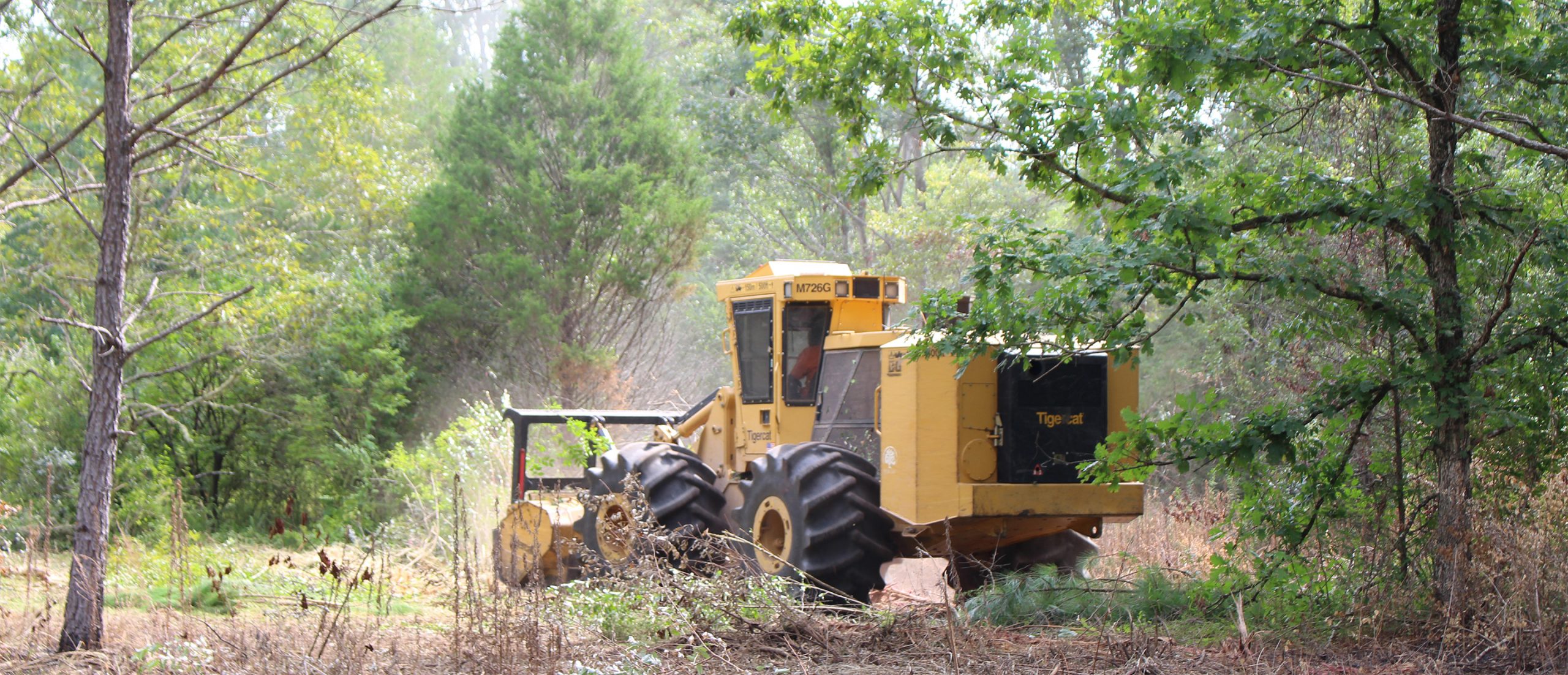 Partnership Enhances Wild Turkey Brood Habitat - The National Wild ...