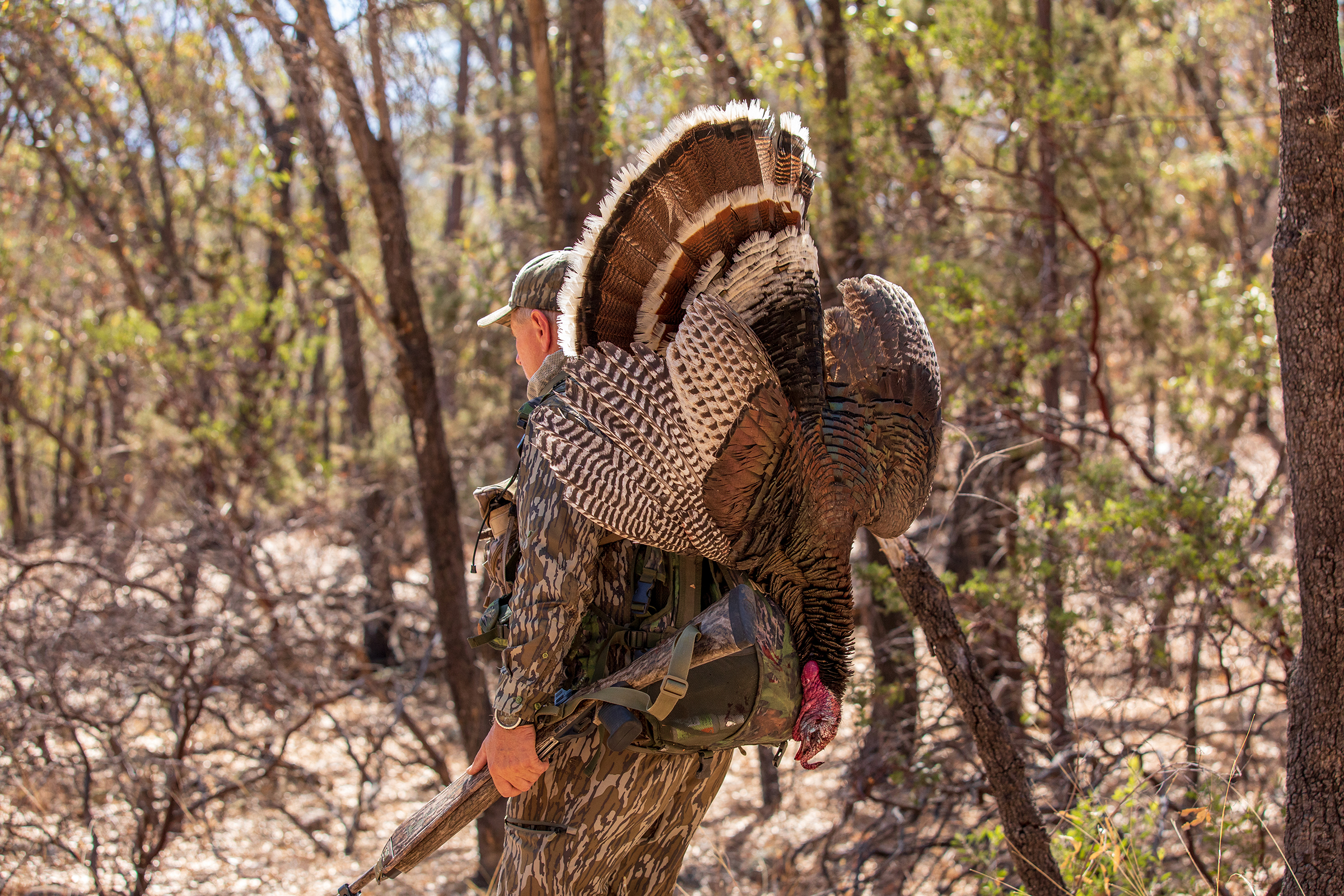 The Gould’s Experience - The National Wild Turkey Federation